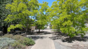 Home - Visit Eudunda in the Valley of Hidden Treasures